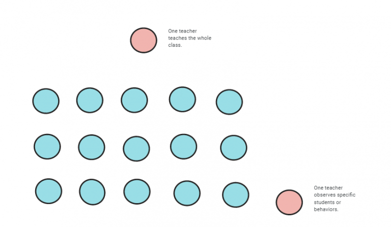 One Teach, One Observe – Co-Teaching One Teach, One Observe – Co-Teaching